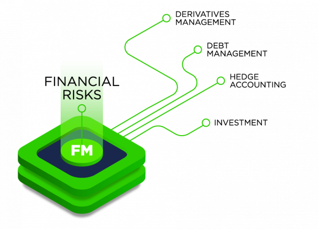 FM - Financial Modelling - Piteco